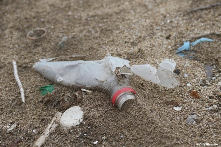 Más del 80% de los residuos en las playas bonaerenses son plásticos - Visión Sustentable